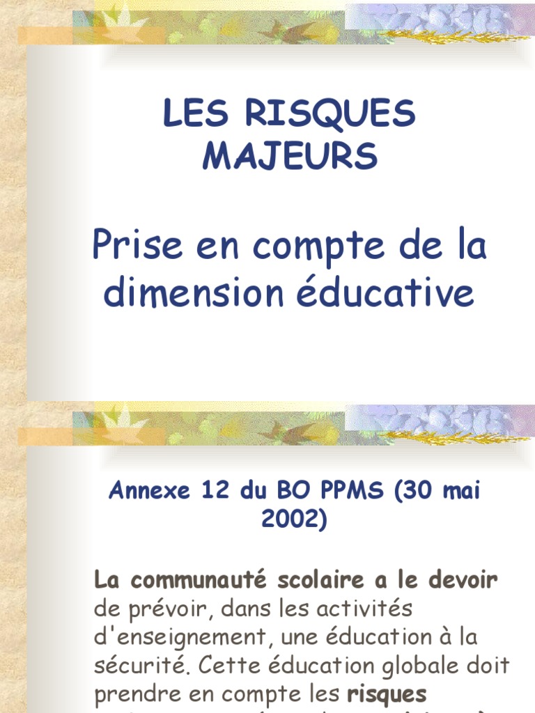 Presentation PPMS | PDF | Risque | Développement durable