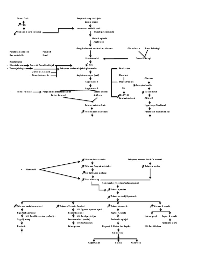 PATHWAY HIPERTENSI PDF | PDF