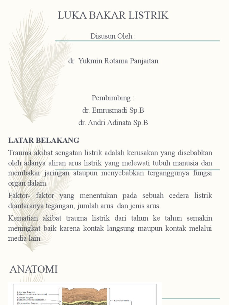 Luka Bakar Listrik: Penyebab, Gejala, dan Penanganan | PDF