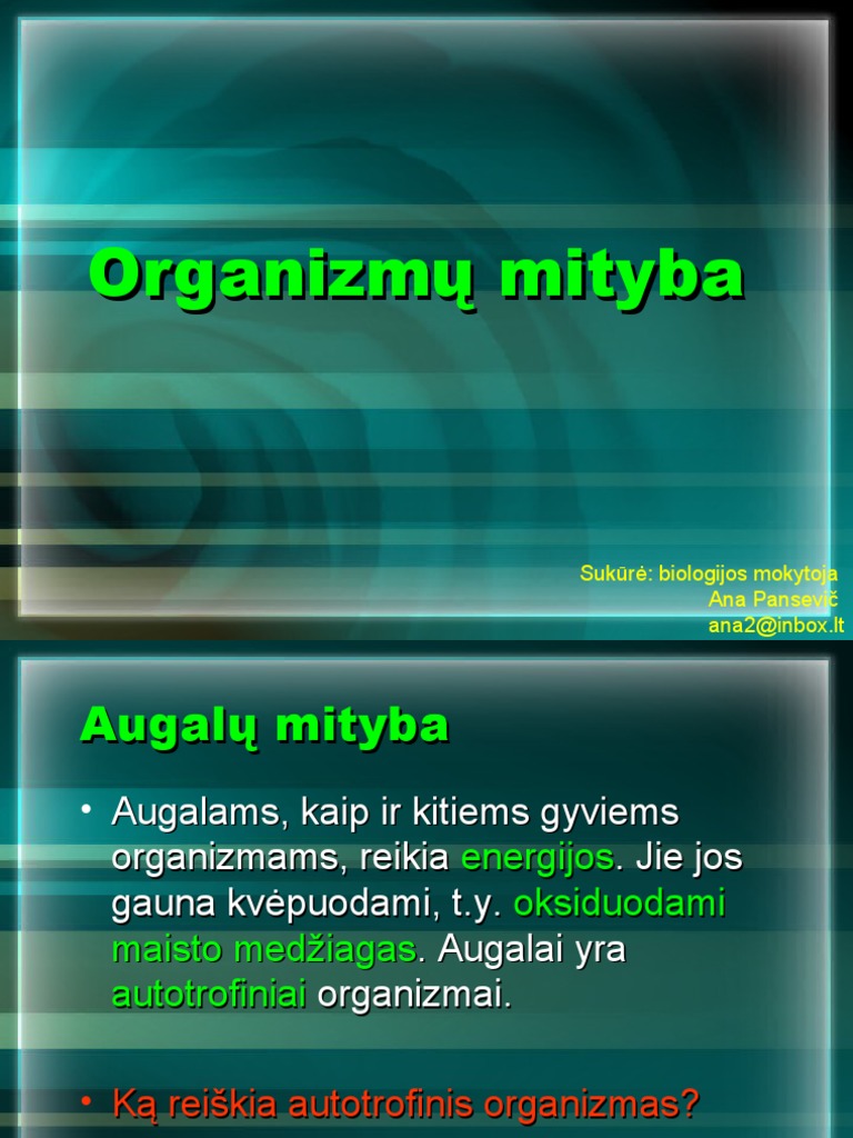 Mityba | PDF
