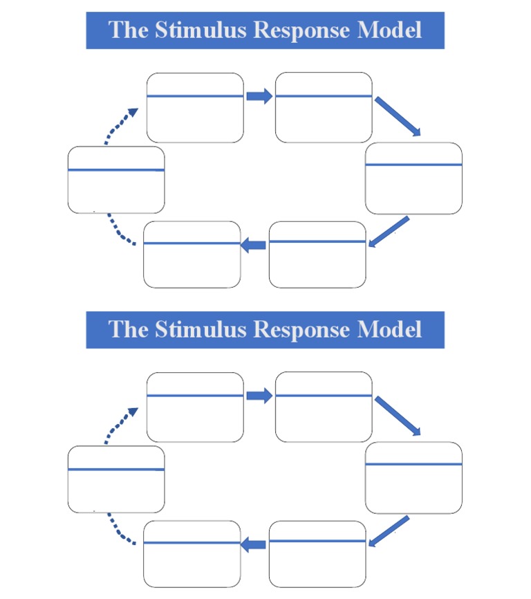 Practice Stimulus Response Model-Template | PDF | Stimulus (Physiology ...