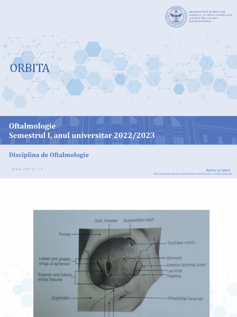 1 - Orbita | PDF