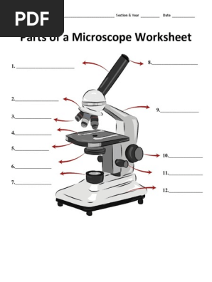 Parts Of A Microscope Quiz