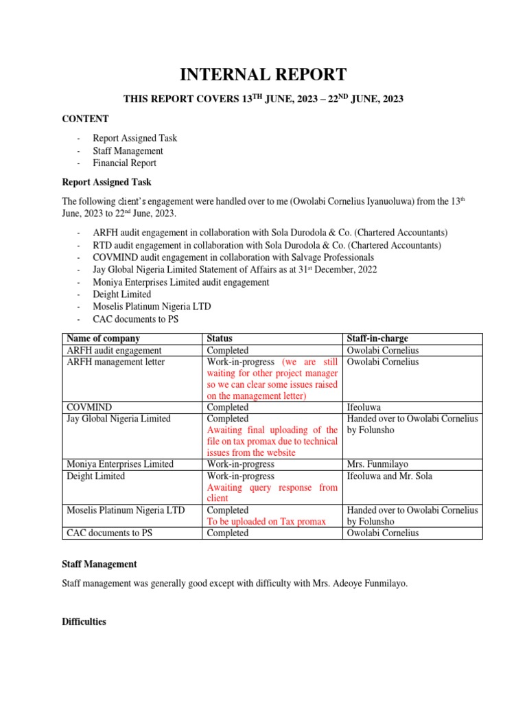 Internal Report | PDF | Financial Services | Accounting