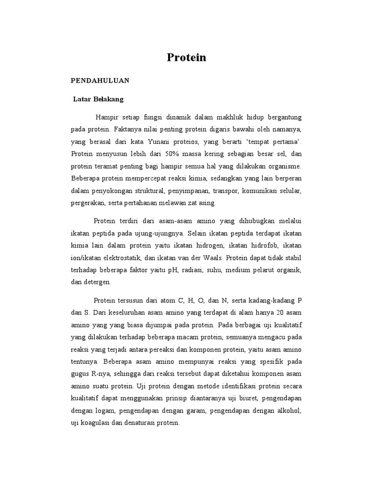 Junal Biokimia Protein | PDF