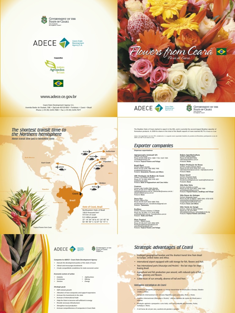 A Dece Folder Flores | PDF