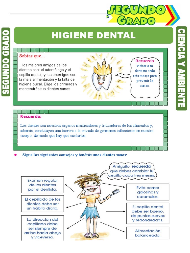 Higiene Dental para Segundo Grado de Primaria | PDF