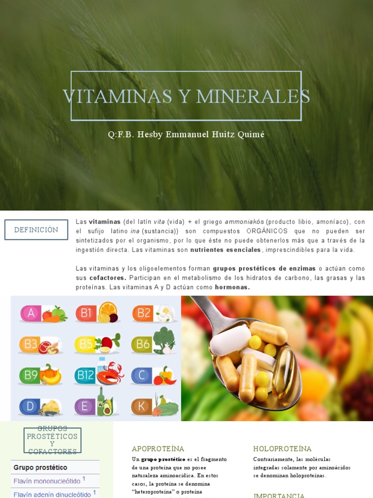 Vitaminas y Minerales | PDF | Vitamina a | Vitamina
