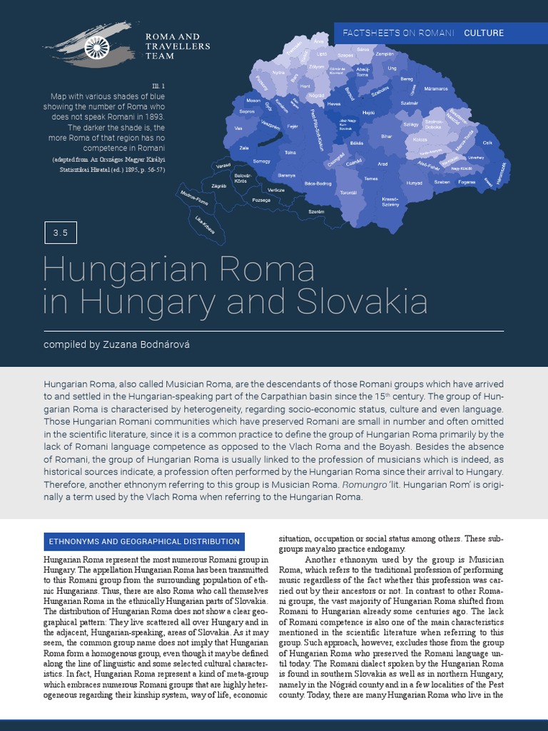 C 3.5 Hungarian Roma | PDF | Romani People | Hungary