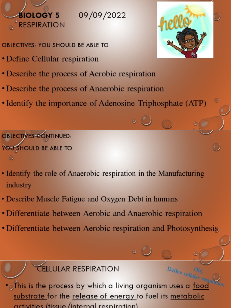 Bio 5 - Cellular Respiration 2022-2023 | PDF | Cellular Respiration ...