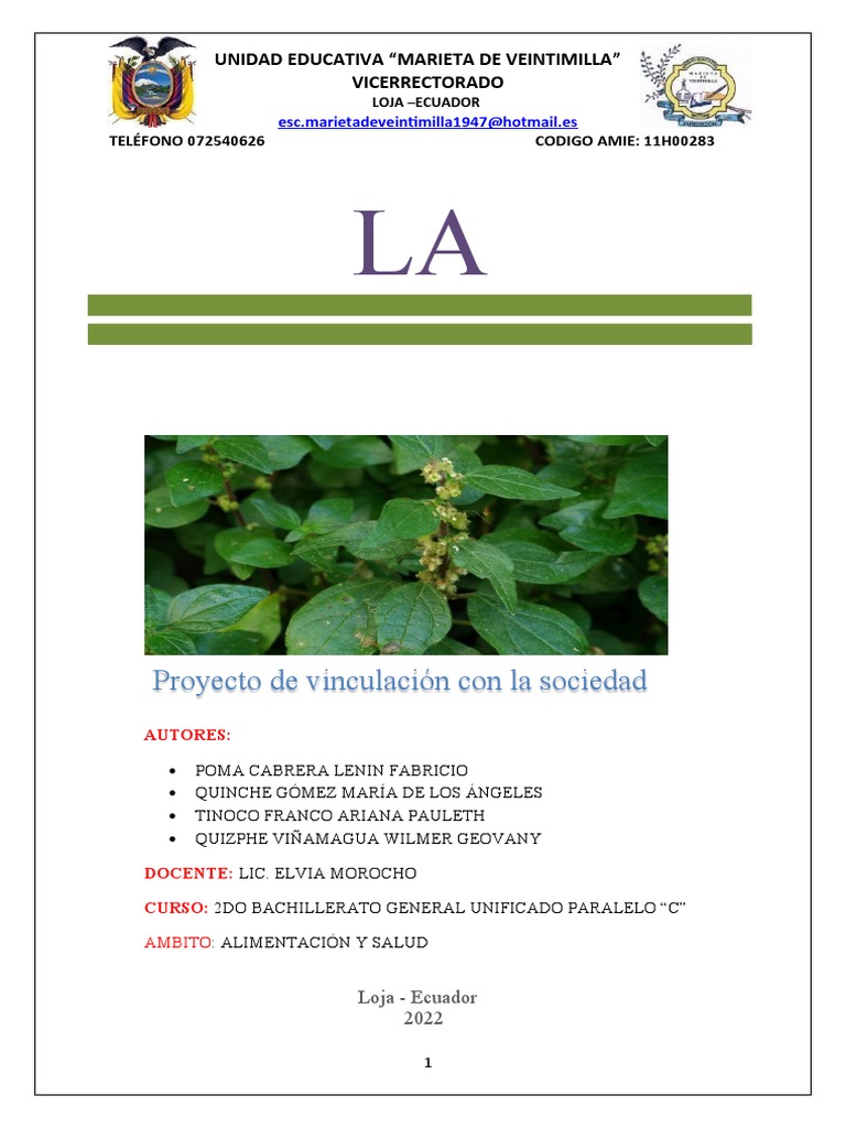 Beneficios de la Planta Buscapina | PDF | Salud y bienestar | Estilo de ...