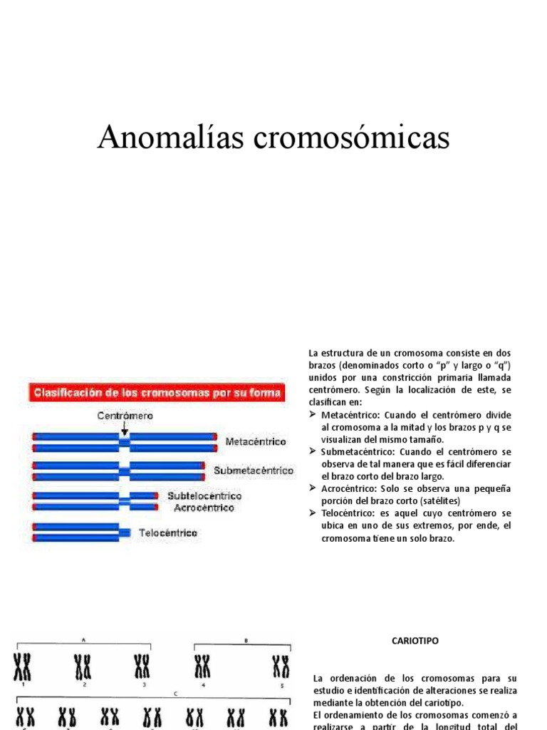 Anomalías cromosómicas | PDF | Cariotipo | Cromosoma