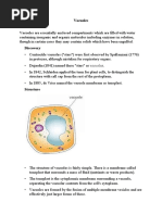 Splanchnopleure vs. Somatopleure Explained | PDF | Peritoneum ...