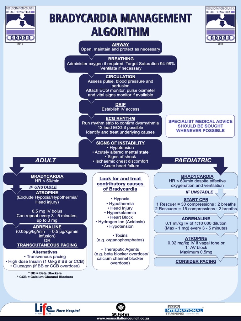 Bradycardia Algorithm | PDF | Shock (Circulatory) | Cardiology
