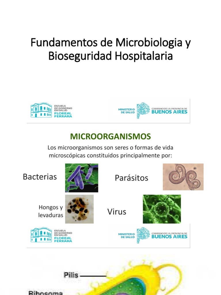 Módulo 2 Fundamentos de Microbiologia y Bioseguridad Hospitalaria Tercera Semana | Descargar ...