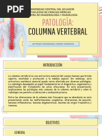 6) Imagenologia de Columna Vertebral | PDF | Vértebra | La columna vertebral