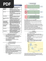 PK Formula Sheet | PDF | Pharmacokinetics | Pharmaceutics