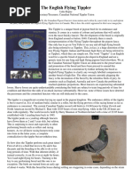 Pigeon Color Genetics and Breeding Chart | PDF | Dominance (Genetics ...