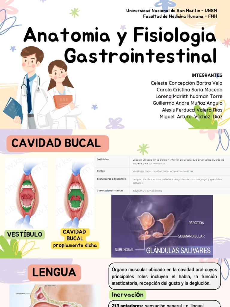 Anatomía y Fisiología de TGI | PDF | Páncreas | Intestino grueso