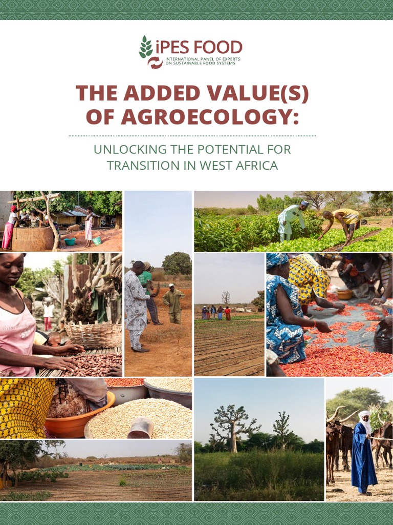 The Added Values of Agroecology | PDF | Agriculture | Food Security