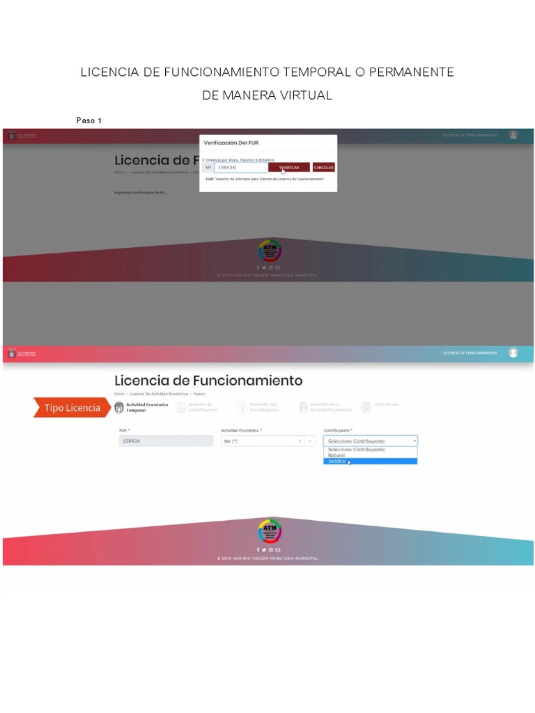Licencia Virtual | PDF