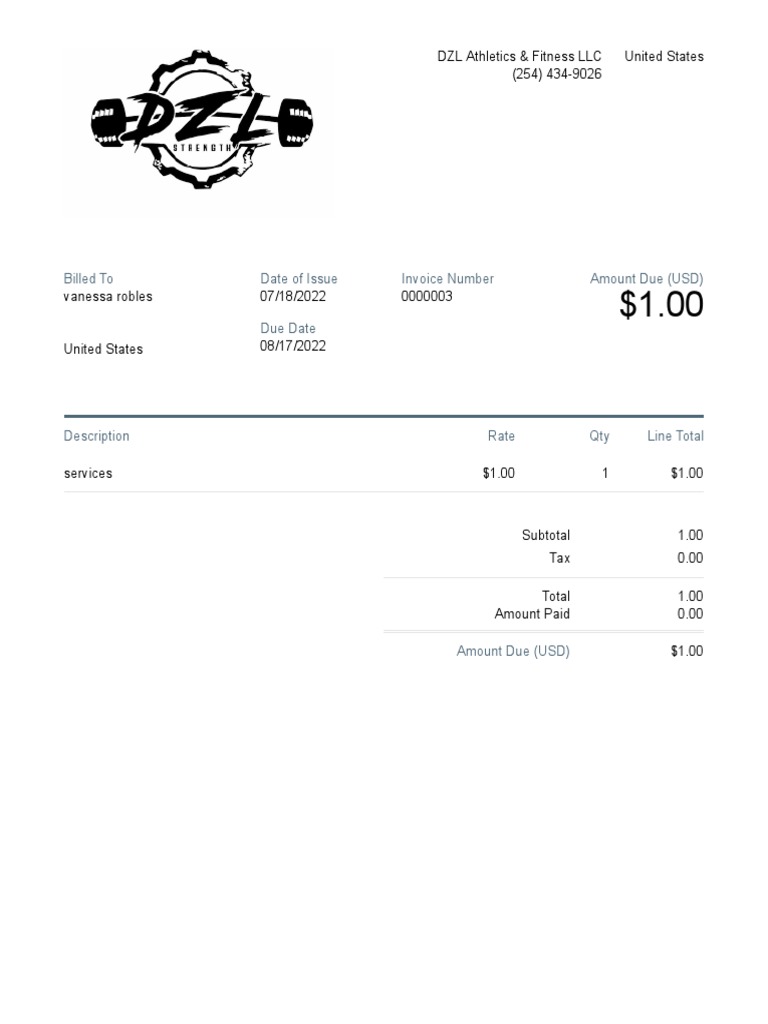 Invoice #0000003 for DZL Athletics | PDF