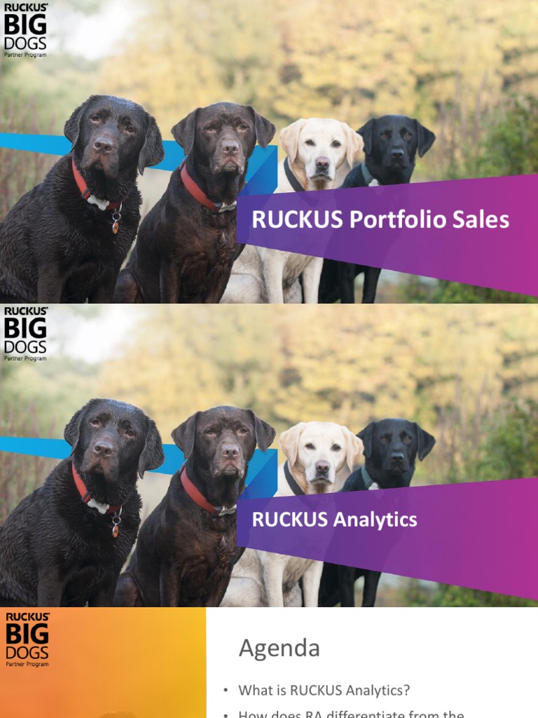 RUCKUS Analytics | PDF | Computer Network | Analytics