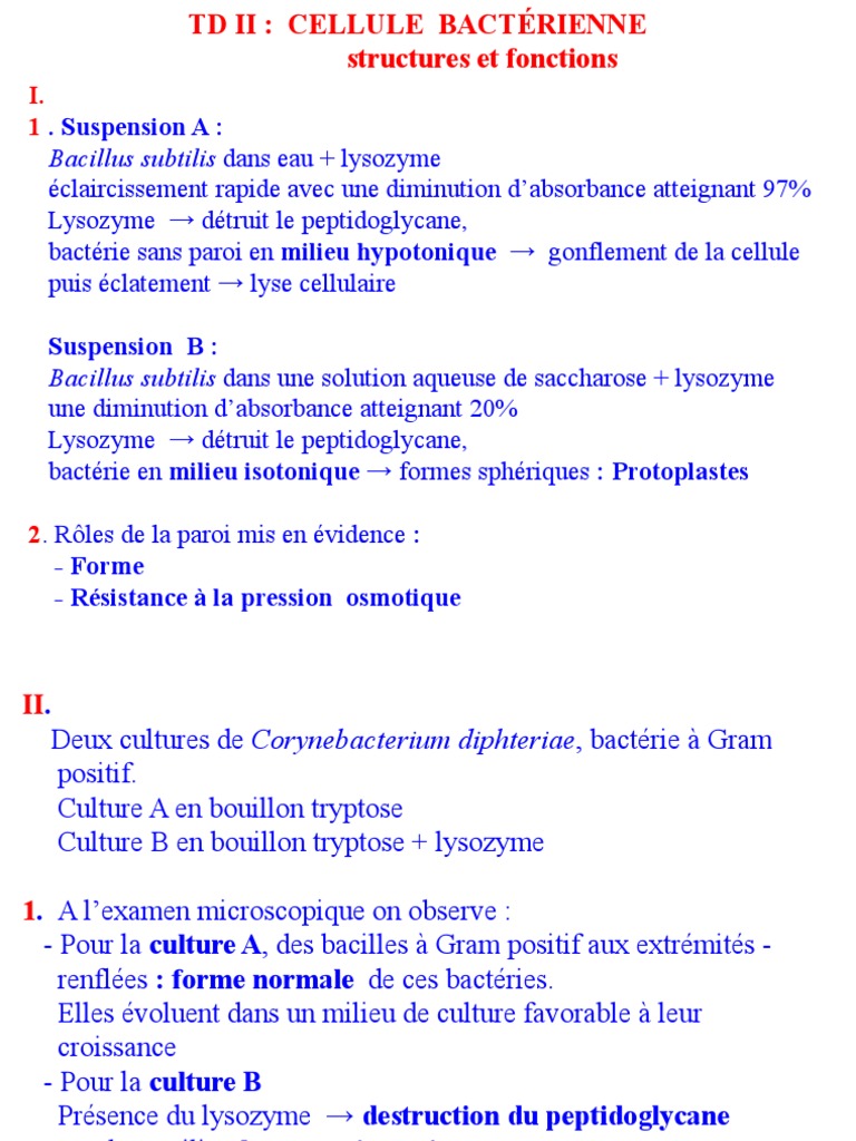 Structure et Fonction des Cellules Bactériennes | PDF | Bactérie ...