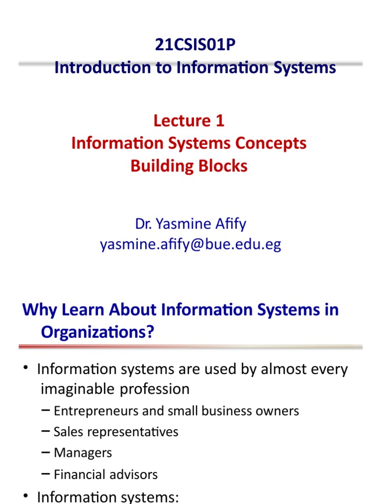 Introduction to Information Systems Concepts | PDF | Computer Network ...