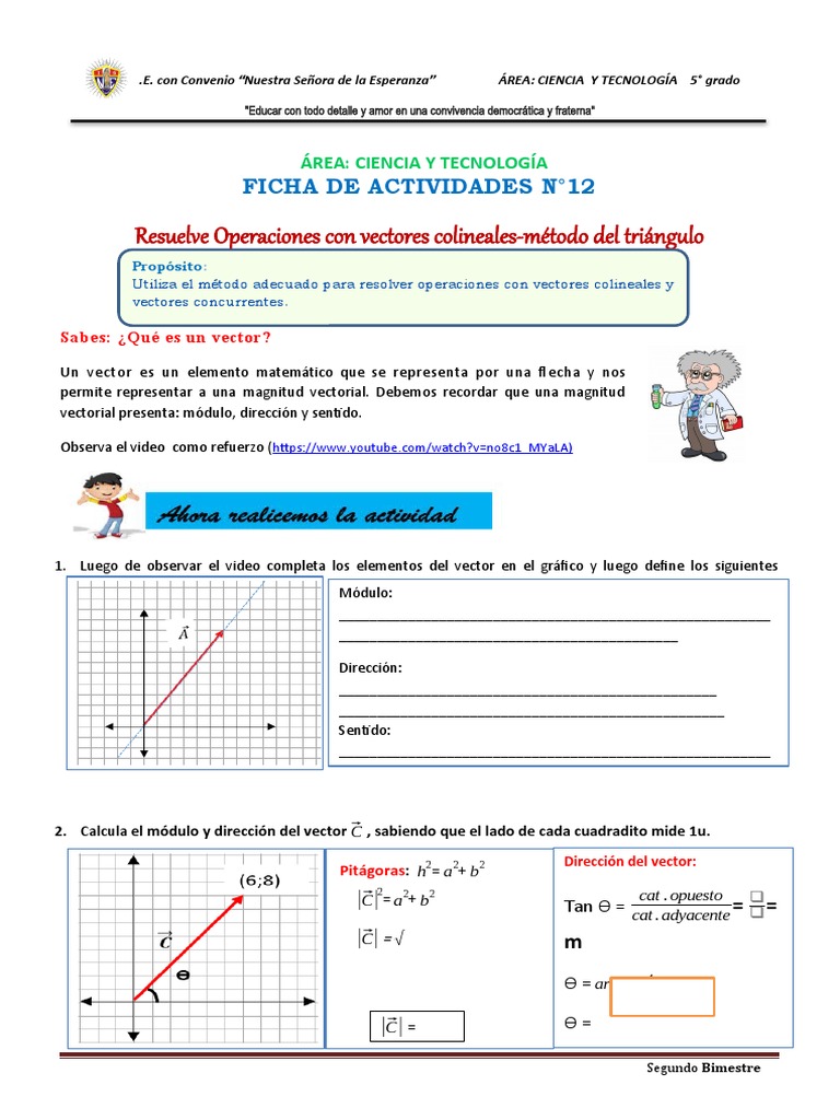 Ficha de Actividades - N°12 - Vectores Colineales y Triangulo | PDF ...