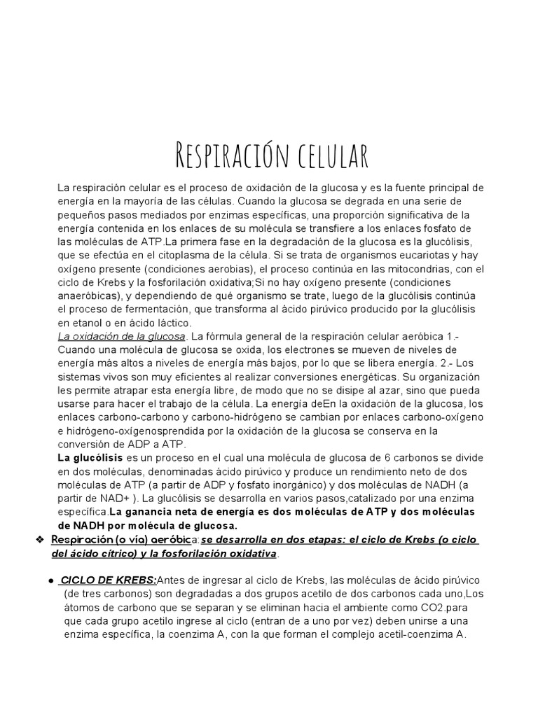 Respiración Celular y FOTOSINTESIS | PDF | Trifosfato de adenosina ...