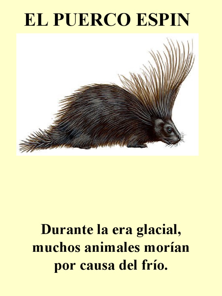 El Puerco Espin | PDF