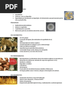 Cruzadinha Sobre Os Fungos PDF | PDF