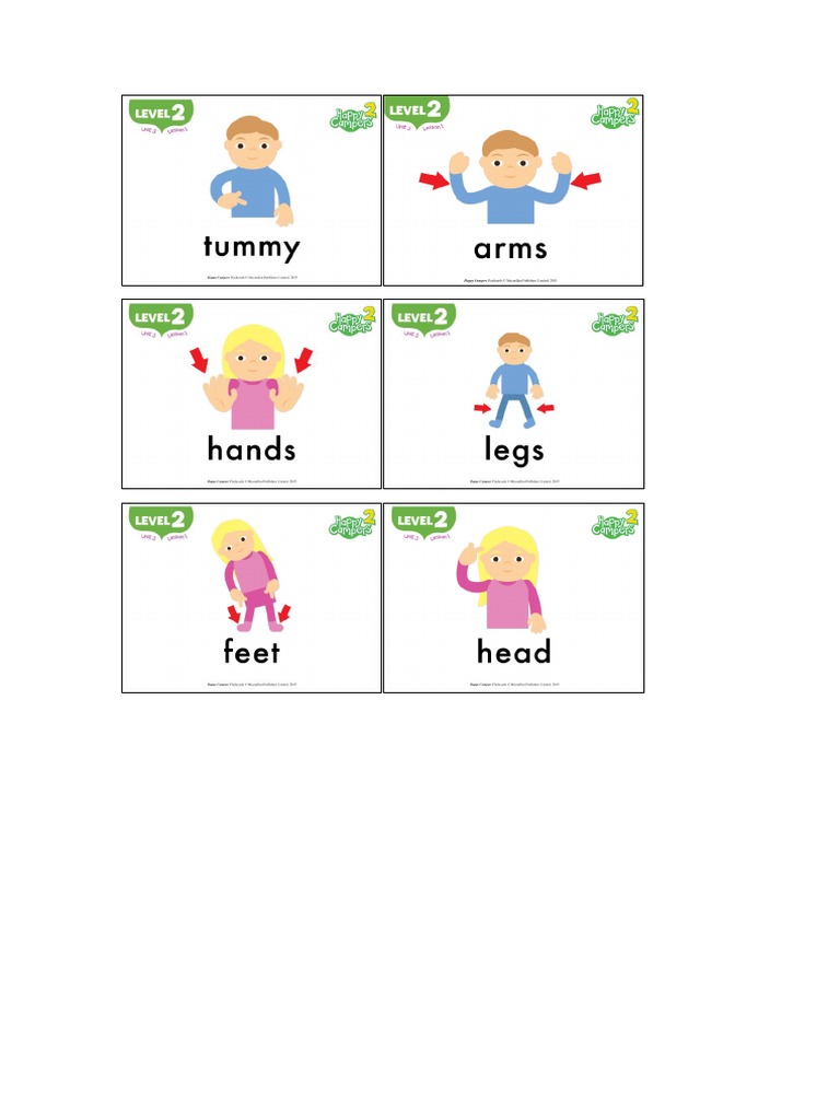 Partes Del Cuerpo En Ingles Pdf