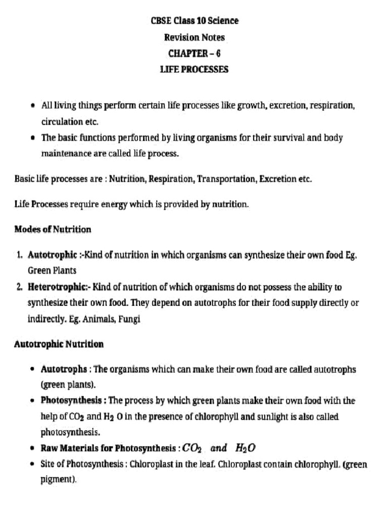 10th Notes Life Process | PDF | Kidney | Anatomy