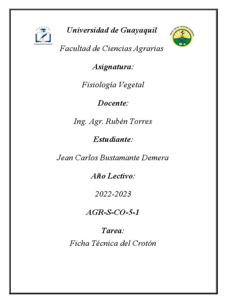 Ficha Técnica del Crotón: Cuidados y Variedades | PDF | Fertilizante | Hoja