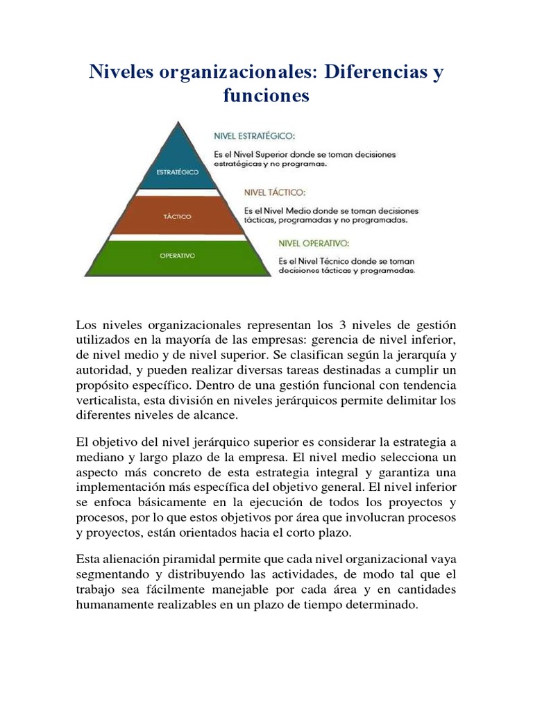 Niveles Organizacionales en Empresas | PDF | Business | Negocios económicos