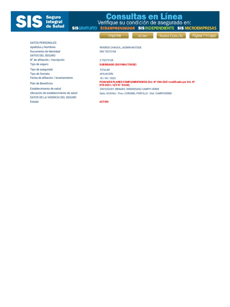 Consultas en Linea SIS - Detalle | PDF