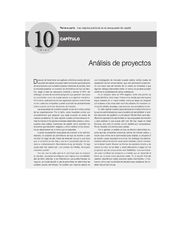 Capítulo 10 - Análisis de Proyectos | PDF
