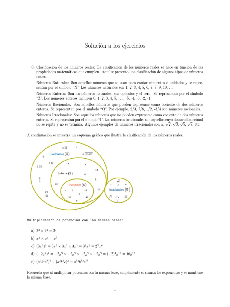 Ejercicios Resueltos | Descargar gratis PDF | Factorización | Función (Matemáticas)