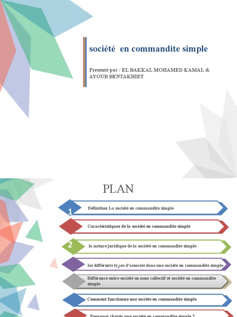 Comprendre la Société en Commandite Simple | PDF | Droits de tradition ...