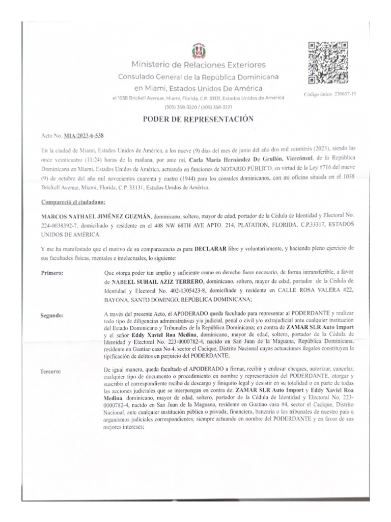 Poder de Representacion | PDF