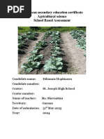 Agricultural Science Broiler Production Sba Sample | PDF | Wellness