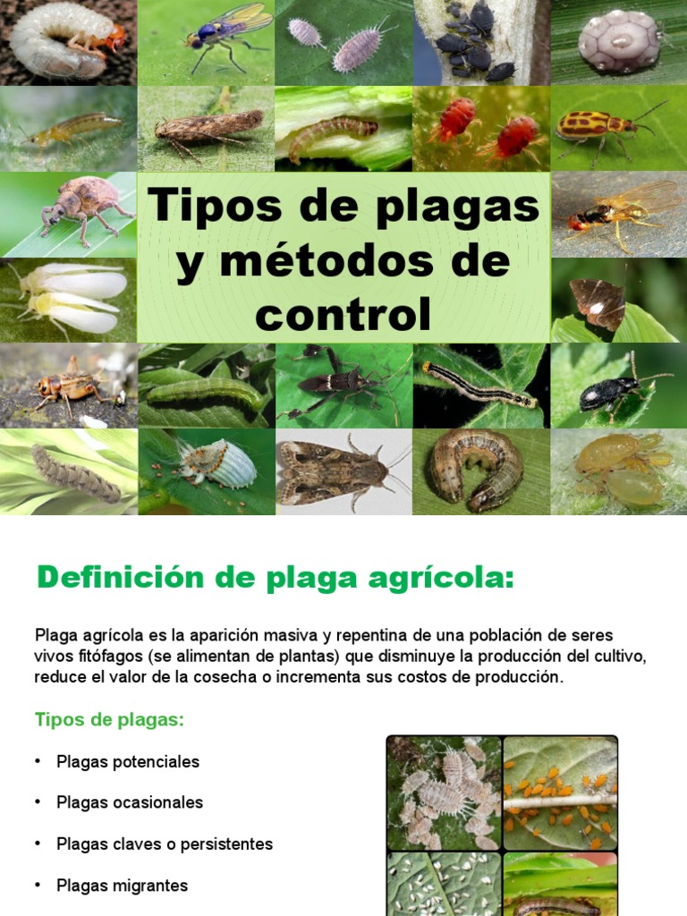 Tipos de Plagas y Métodos de Control | PDF | Plaga (organismo ...