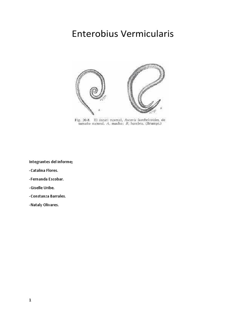 Enterobius Vermicularis | PDF | Medicina CLINICA | Gastroenterología
