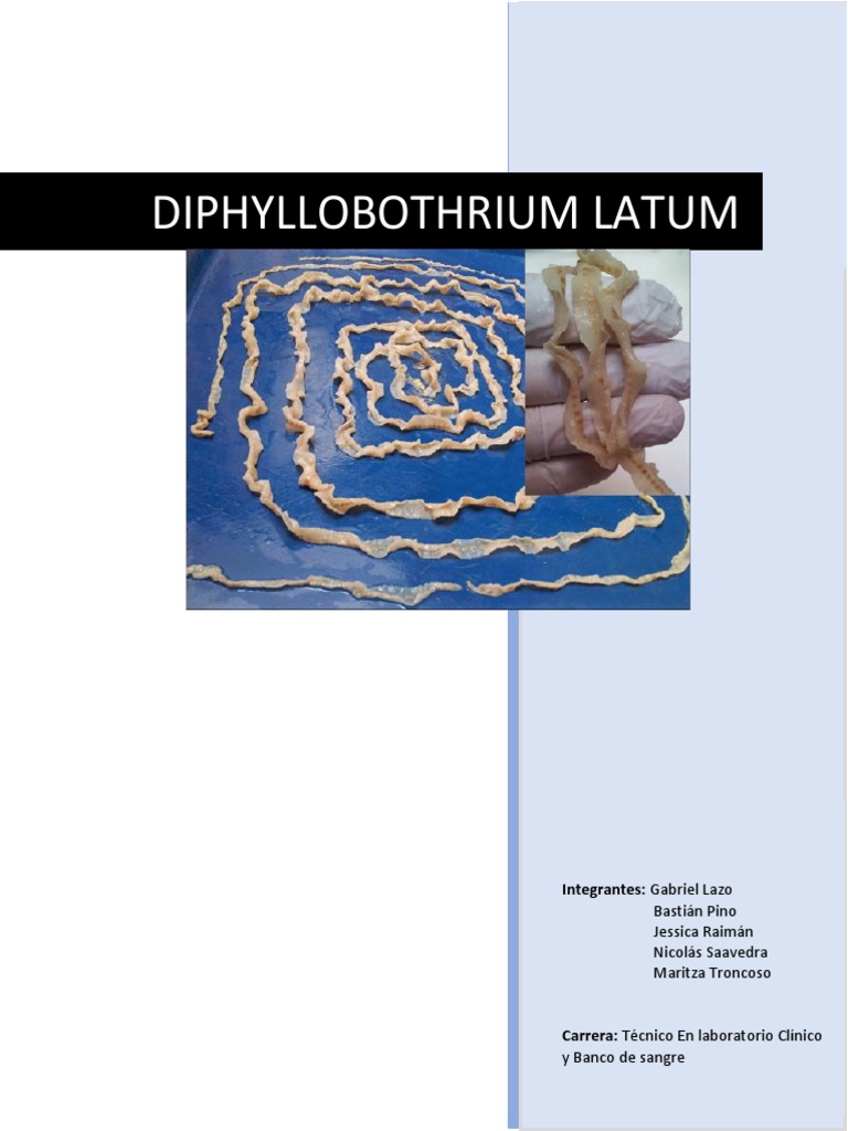 Morfología y ciclo de vida de D. latum | PDF | Pescado | Huevo