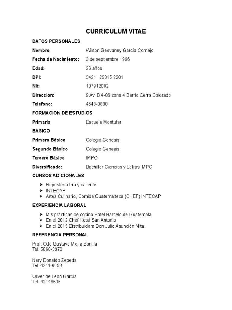 CURRICULUM VITAE Cornejo | PDF