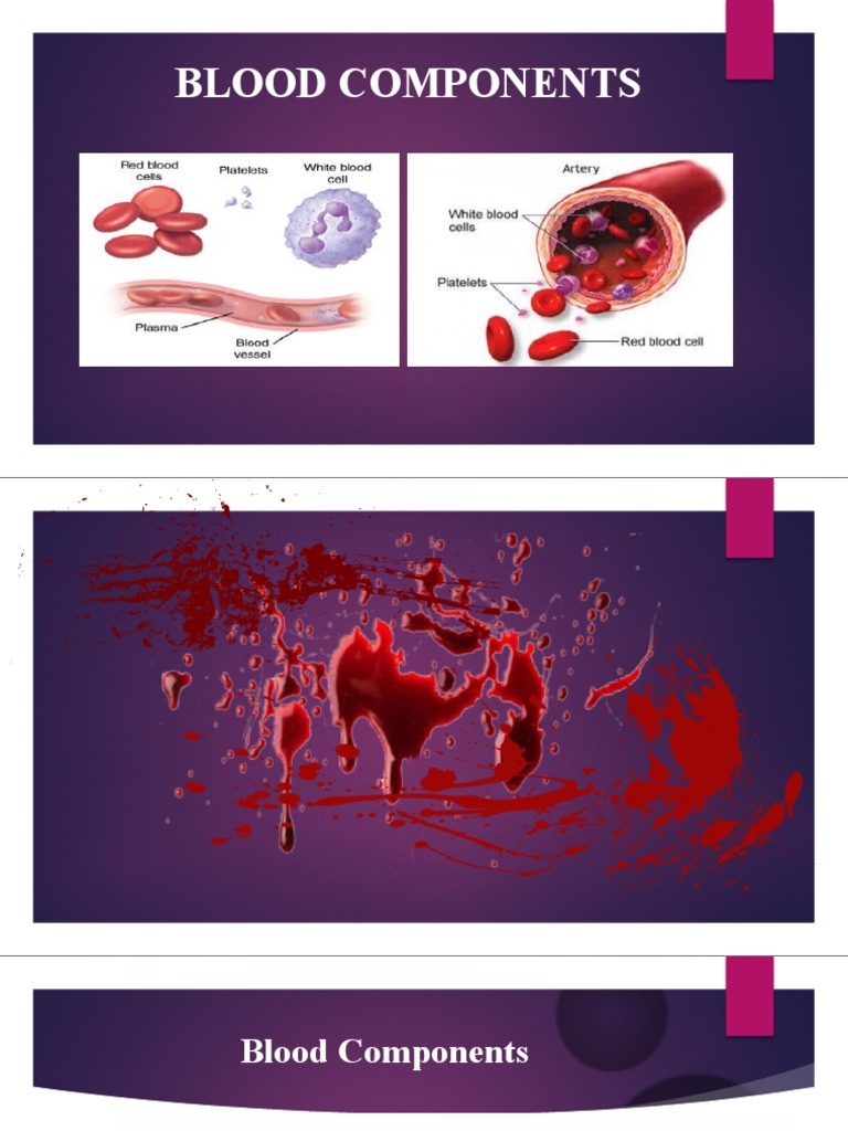 Blood Components | PDF