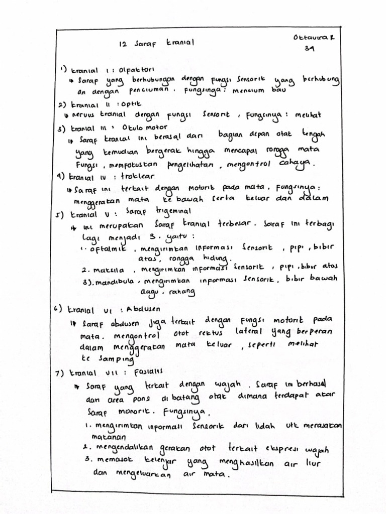 12 Saraf - Oktavira | PDF