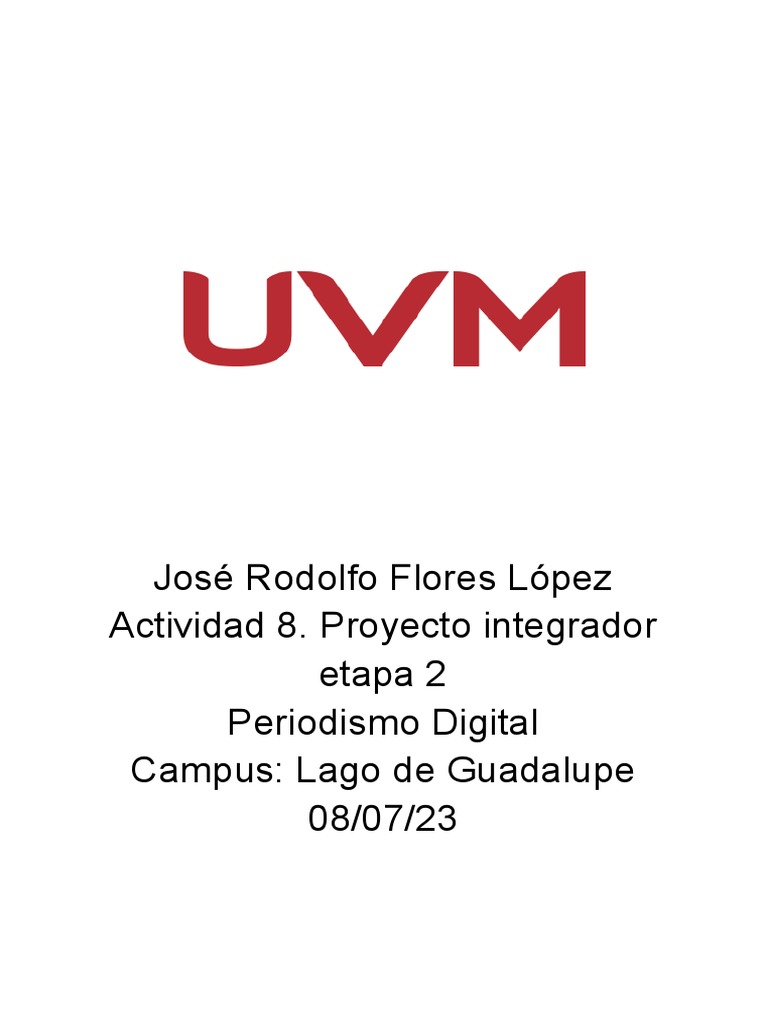 Actividad 8. Proyecto Integrador Etapa 2 | PDF